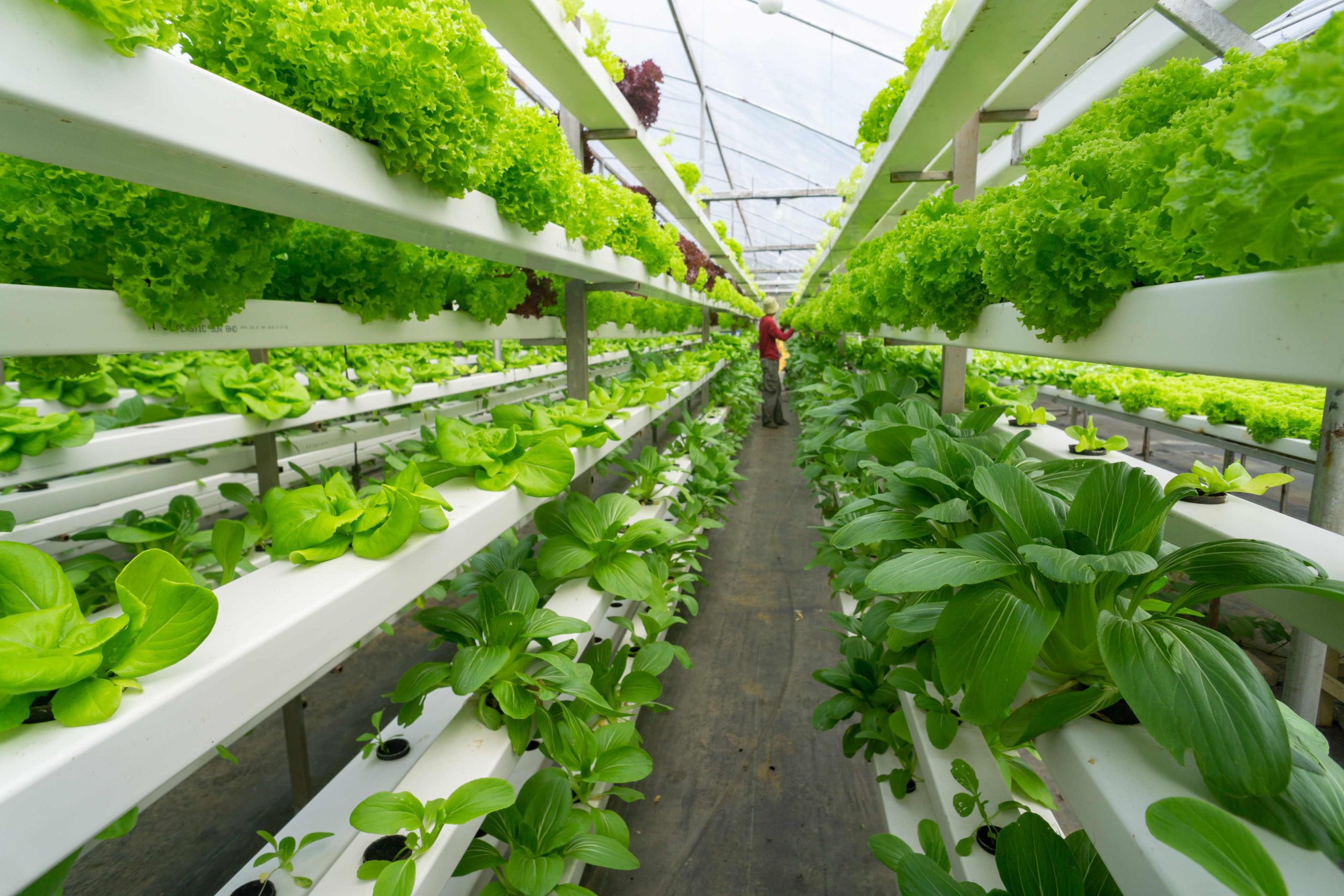 7 Environmental Benefits of Sustainable Urban Farming